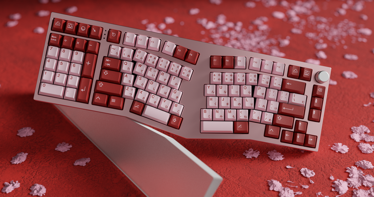 Compact Ergo Landing Page – Bowl Keyboards