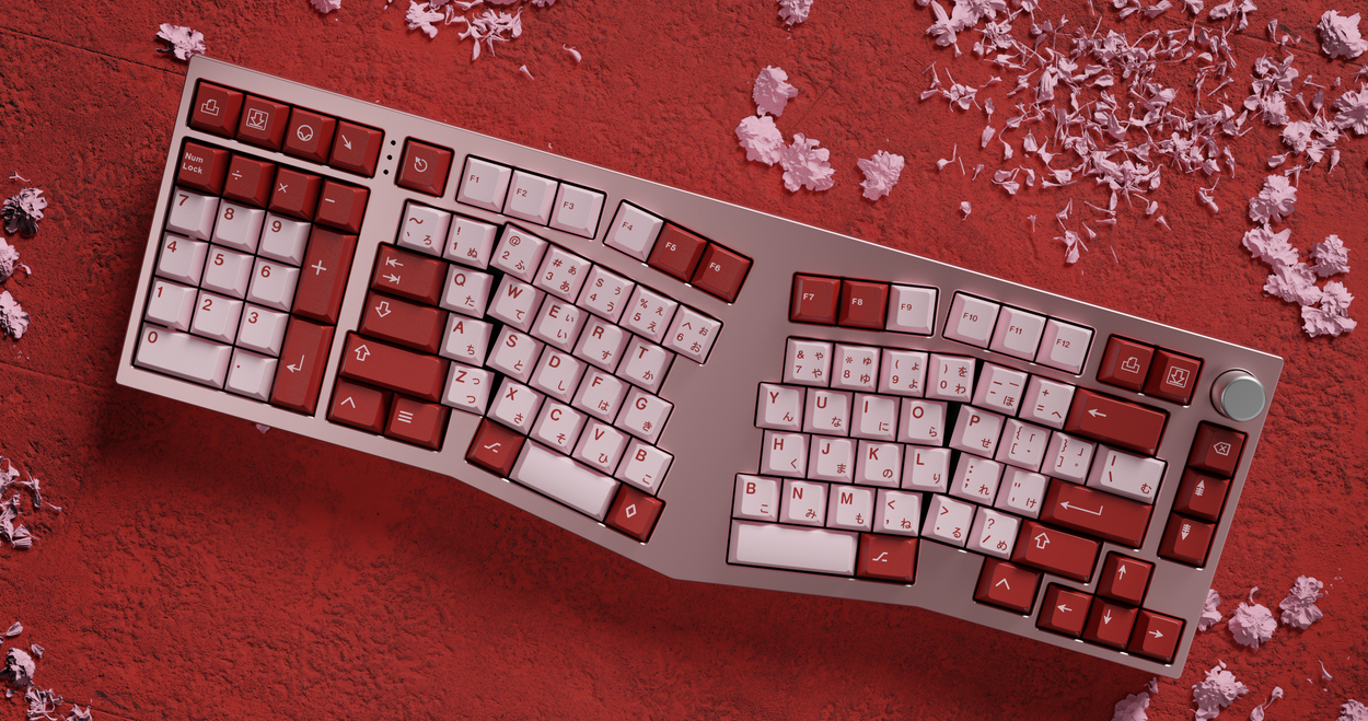 Compact Ergo Landing Page – Bowl Keyboards